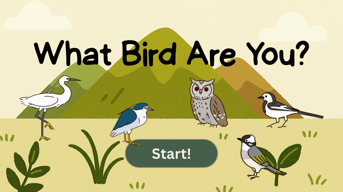 What Bird Are You?
