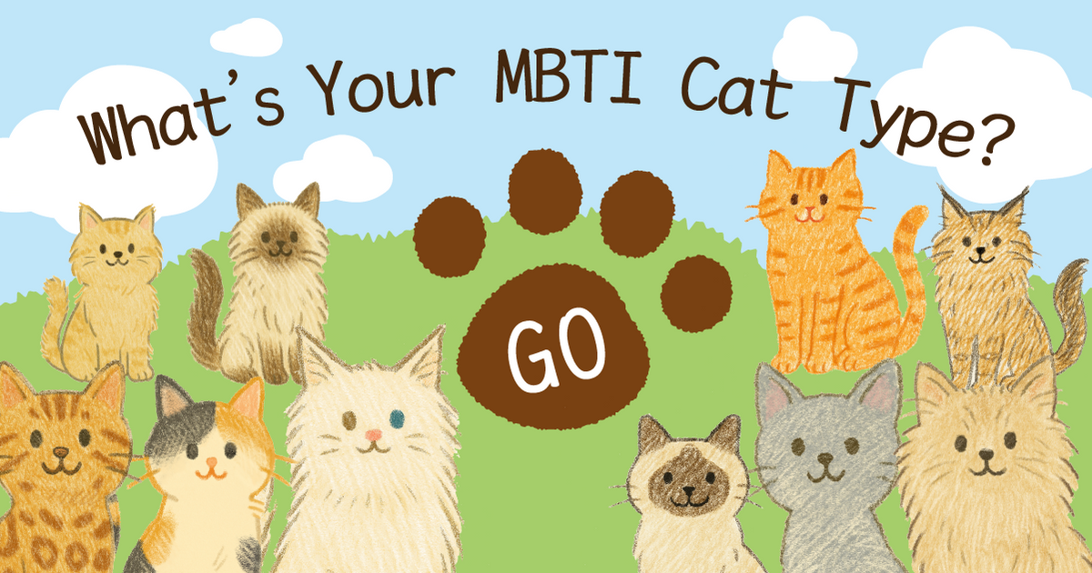 What's Your MBTI Cat Type?